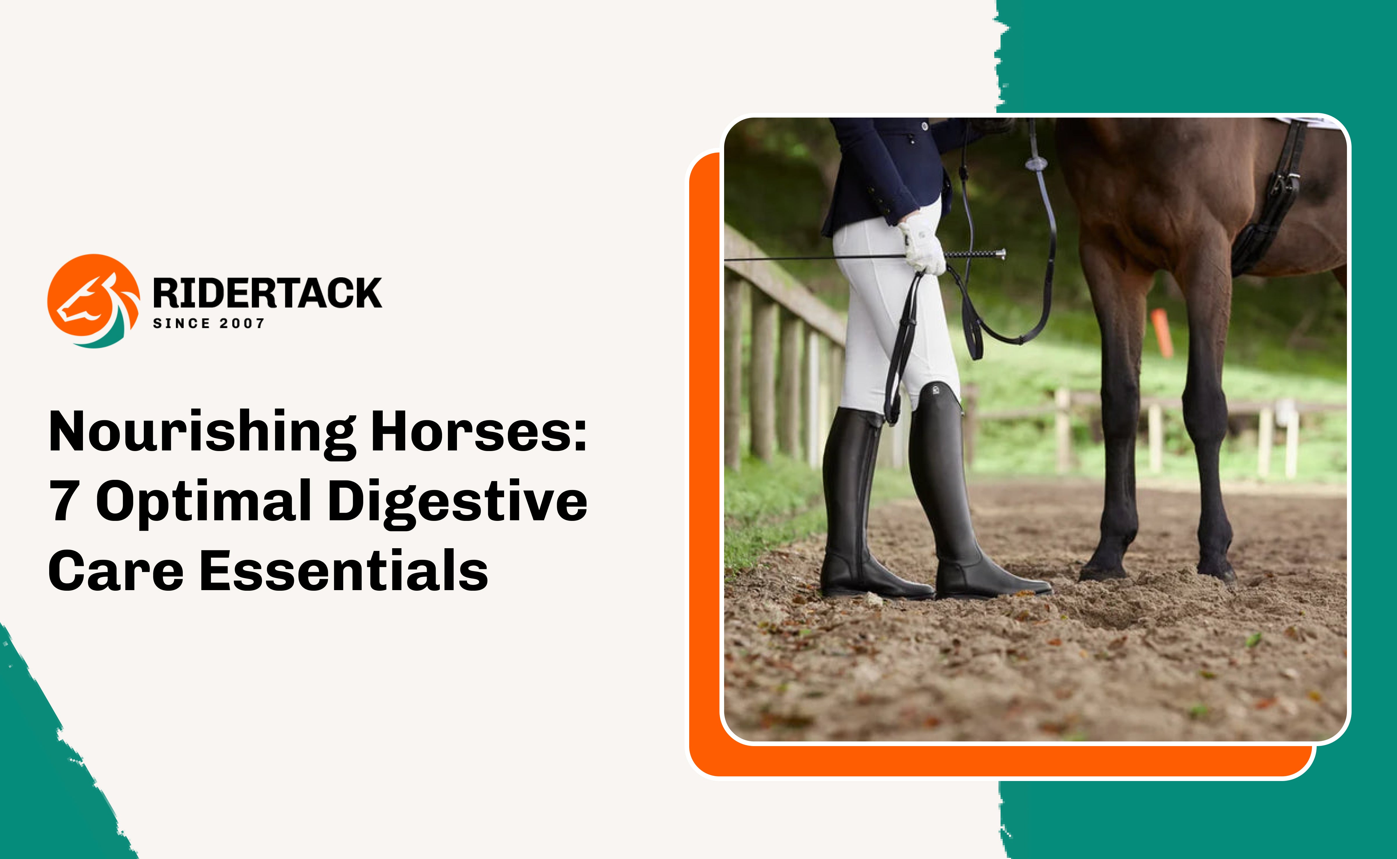Nourishing Horses: 7 Optimal Digestive Care Essentials – Rider Tack